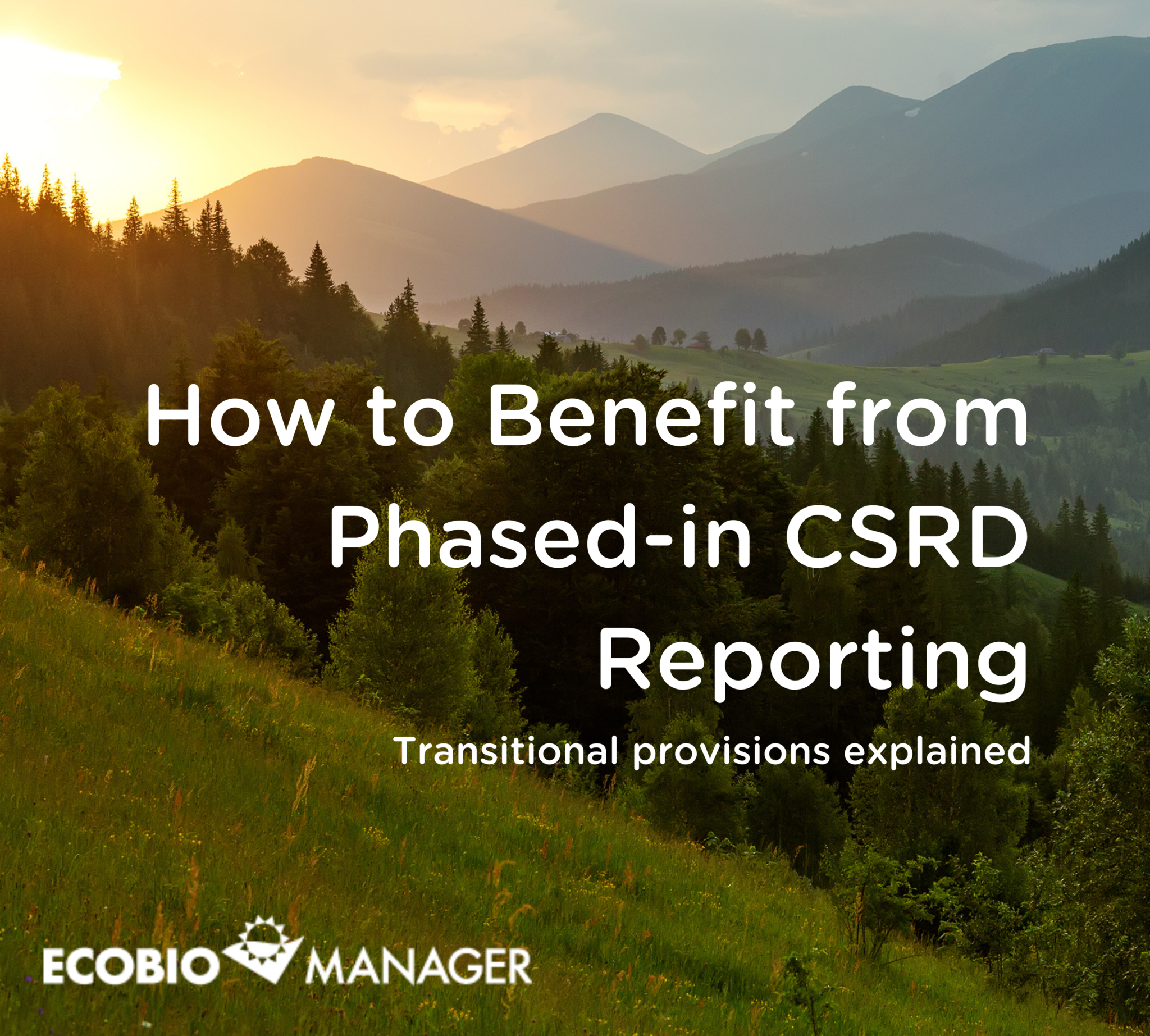 How to Benefit from Phased-in CSRD Reporting? - Ecobio Manager